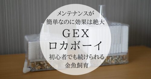 【GEXロカボーイ】メンテナンスが簡単なのに効果は絶大！初心者でも続けられる金魚飼育 | ともさんパパブログ
